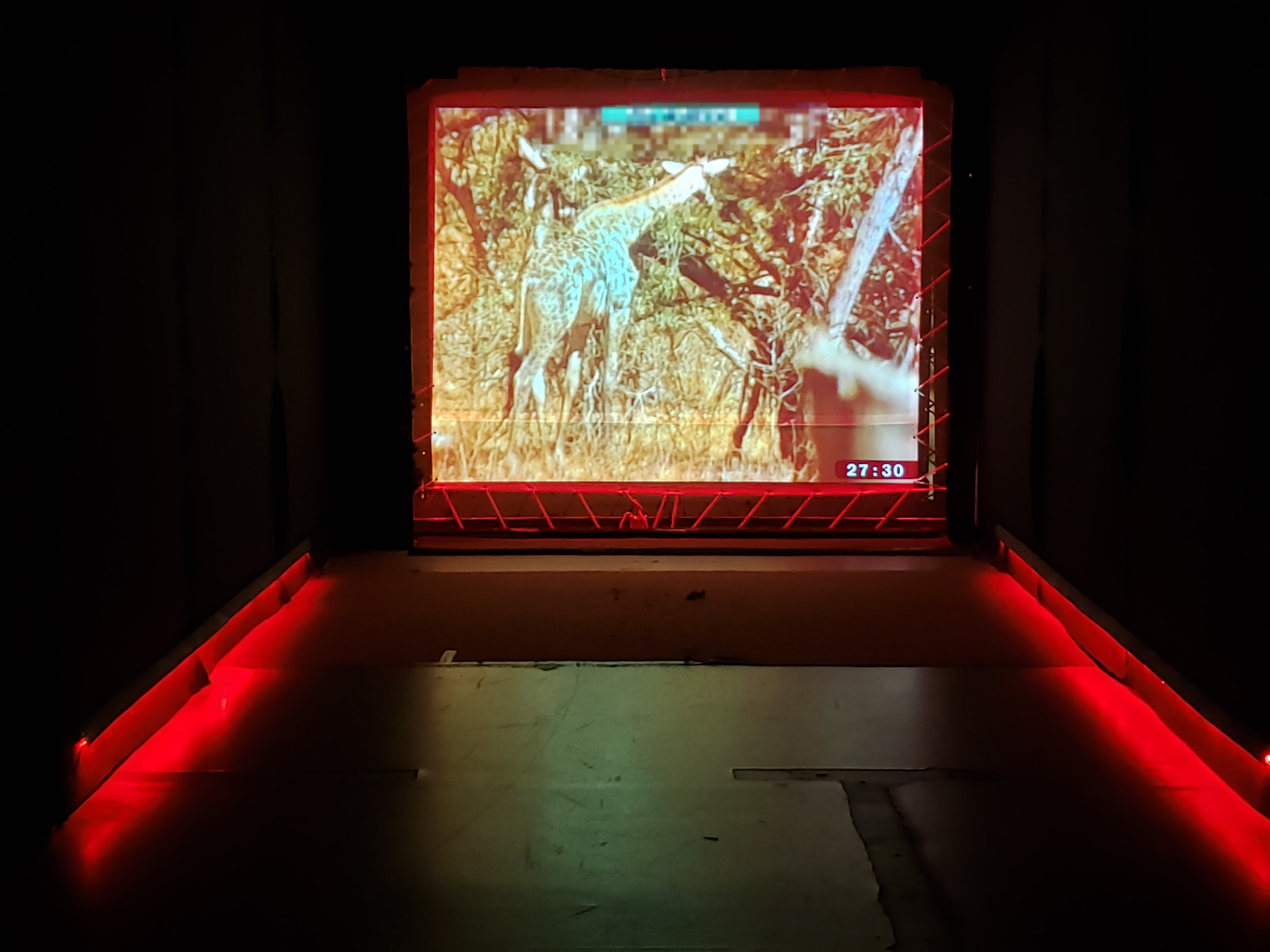 Shooting Lanes - Dewclaw Archery